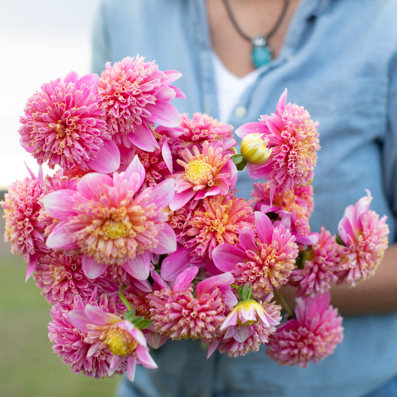 Pink Dahlia Flower Bouquet