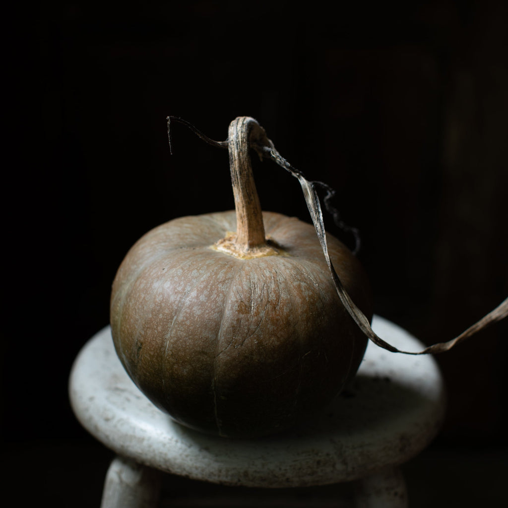 Ornamental Squash Strawberry Crown – Floret Library